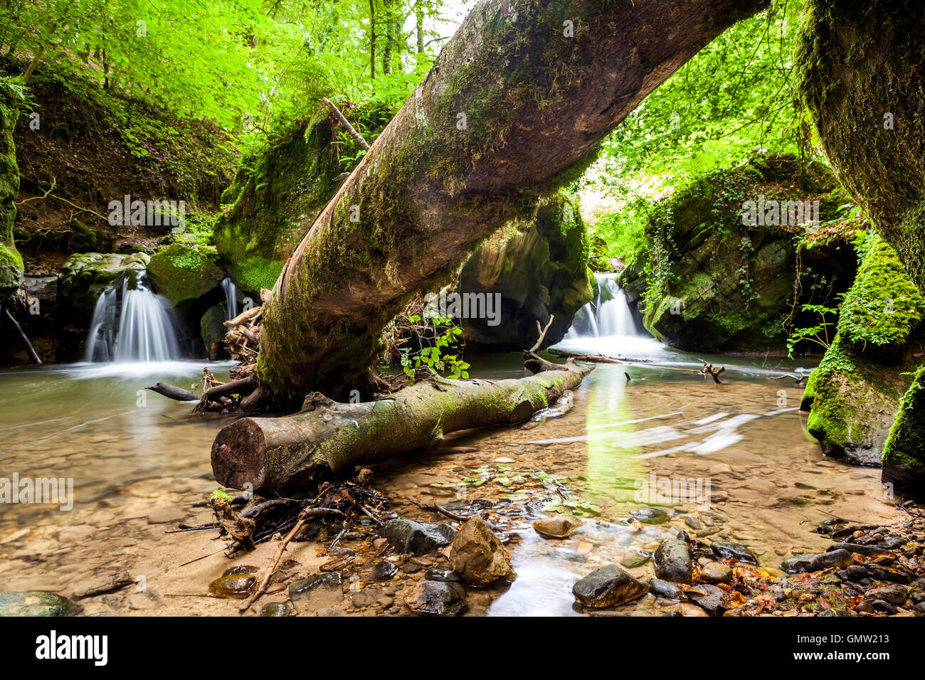 Boulders in the mossman river hi-res stock photography and images - Alamy