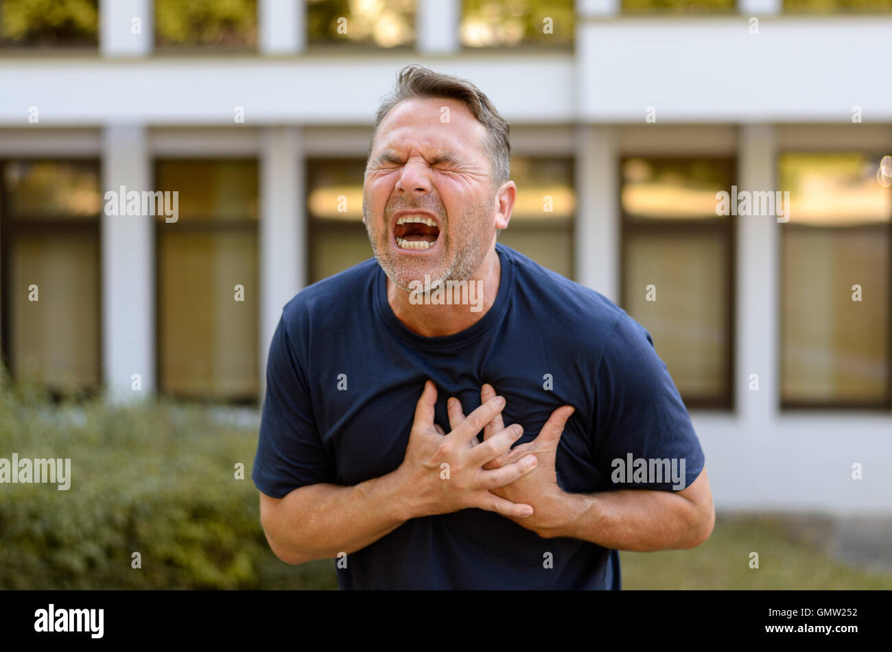 Middle-aged man suffering a heart attack or coronary infarct clasping ...
