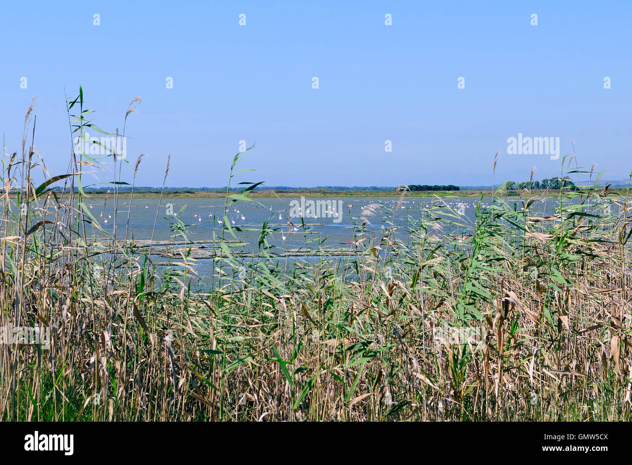 Sardinia, West Coast, Penisola del Sinis (Sinis Peninsula), Pauli e ...