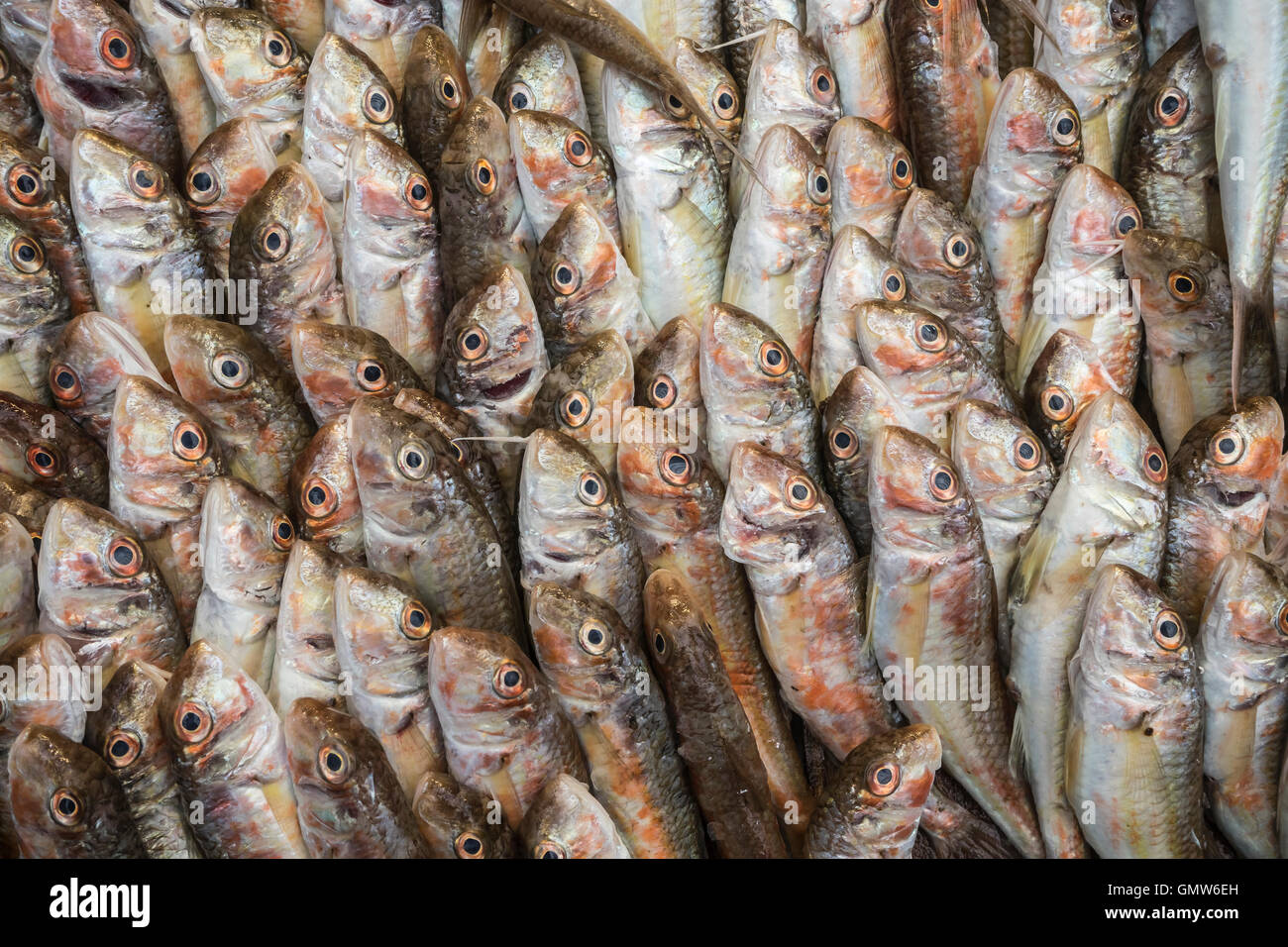 Display of a fishmonger Stock Photo - Alamy