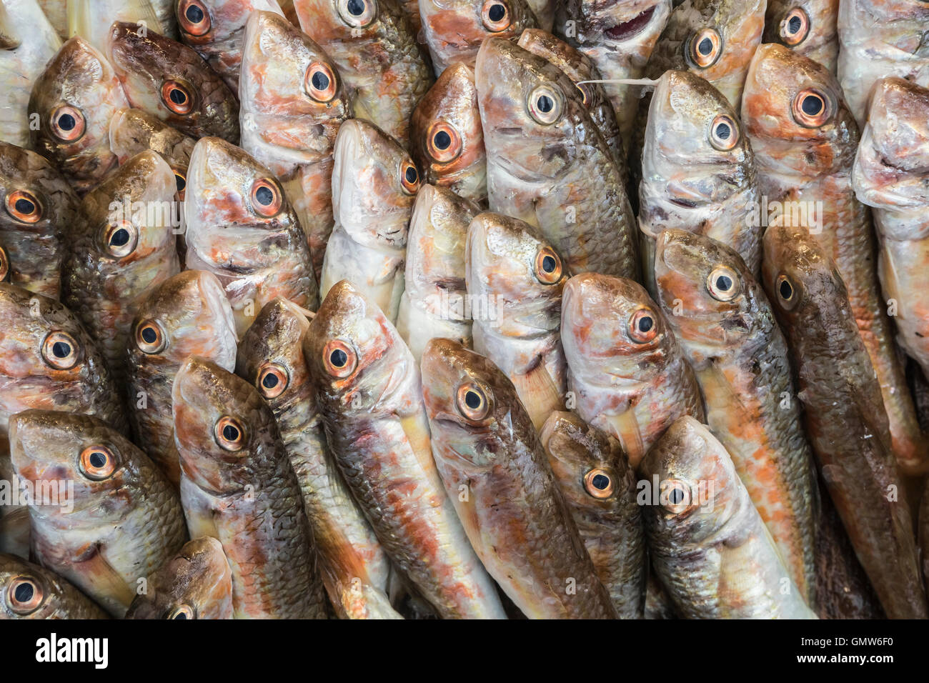 Display of a fishmonger Stock Photo - Alamy