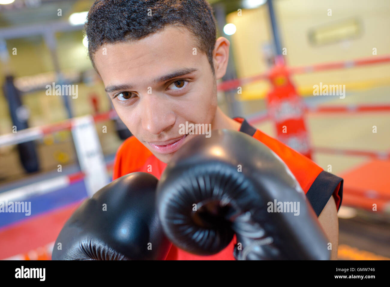 Male boxer hi-res stock photography and images - Alamy