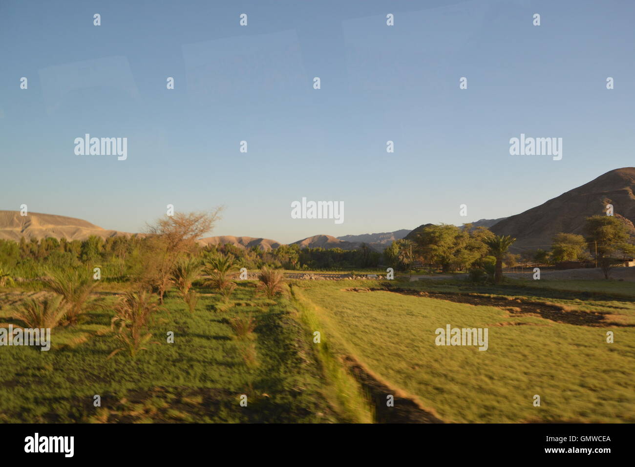 Chauchilla Cemetery, Nazca Burial, Nazca, Peru Stock Photo - Alamy