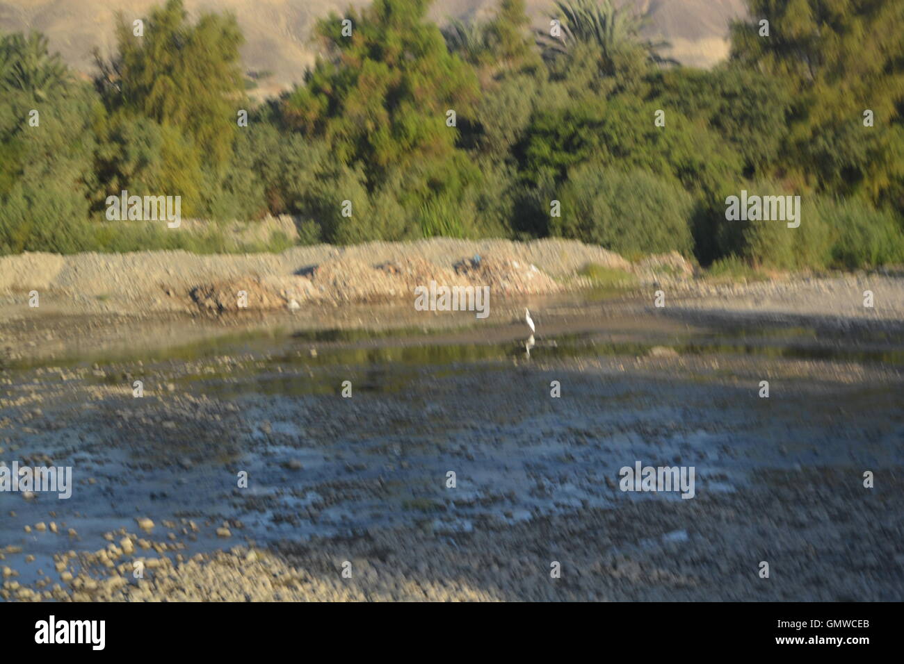 Chauchilla Cemetery, Nazca Burial, Nazca, Peru Stock Photo - Alamy