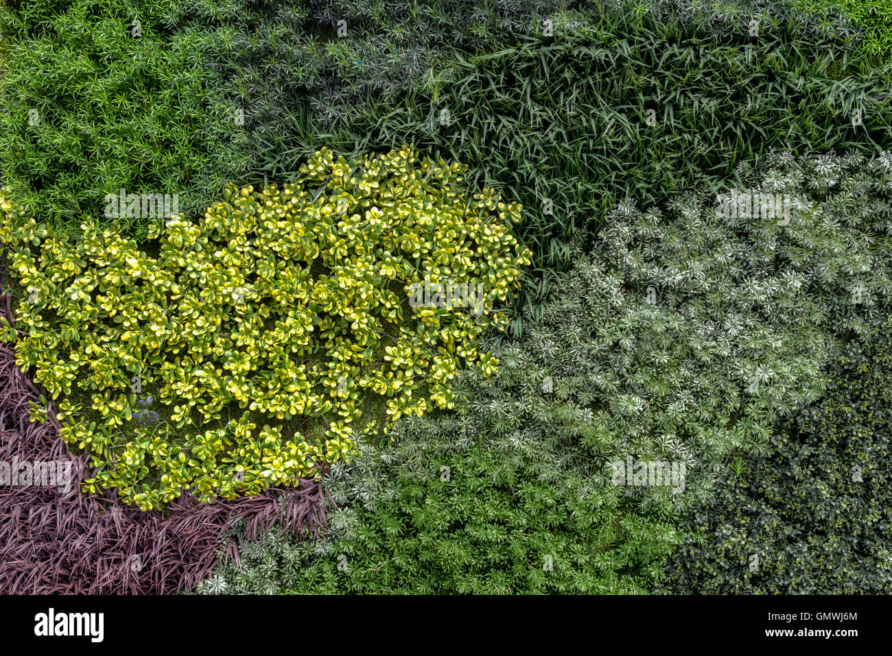 Decorative green wall living hi-res stock photography and images - Alamy