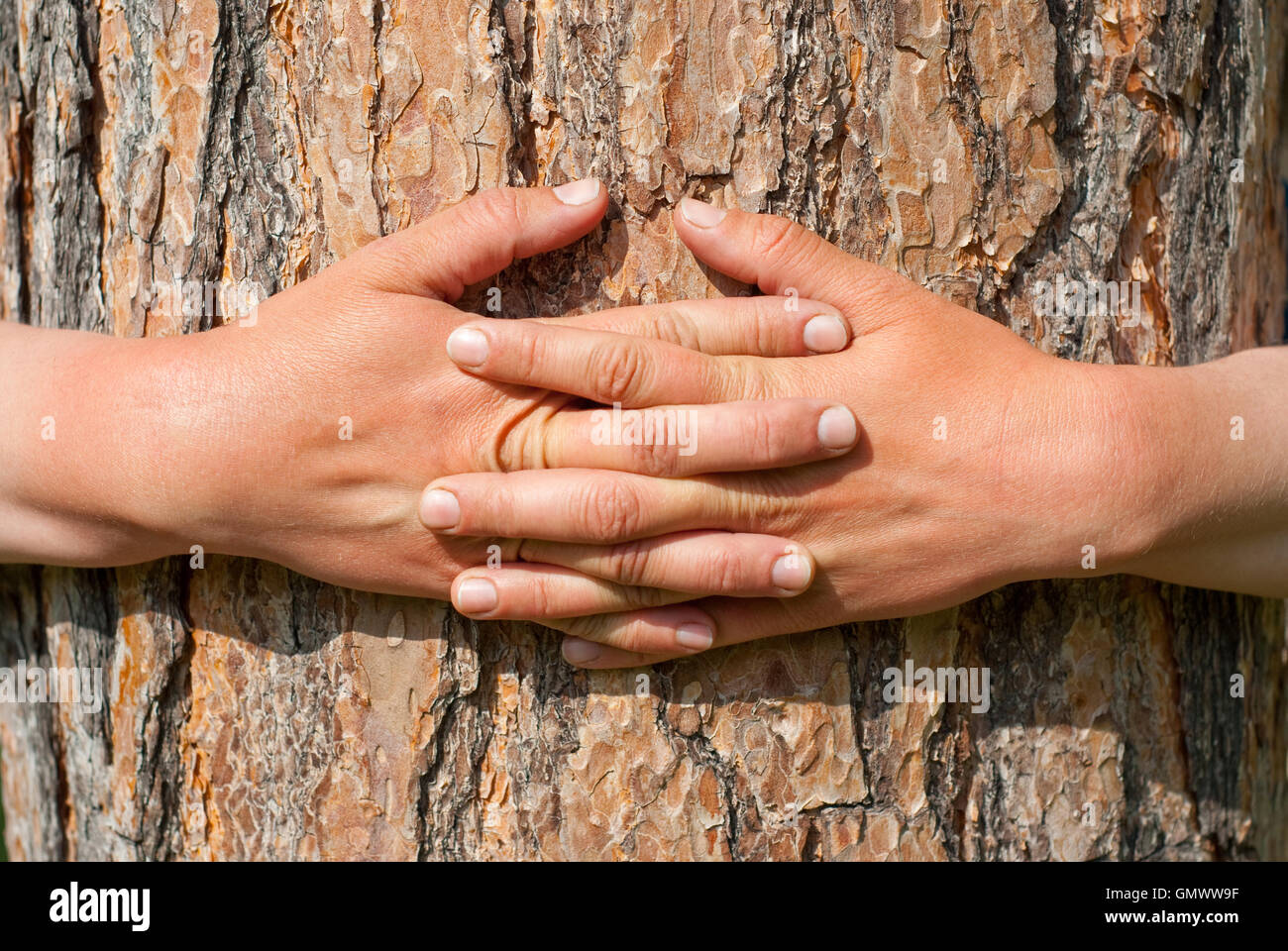 arms wrapped around a tree Stock Photo - Alamy