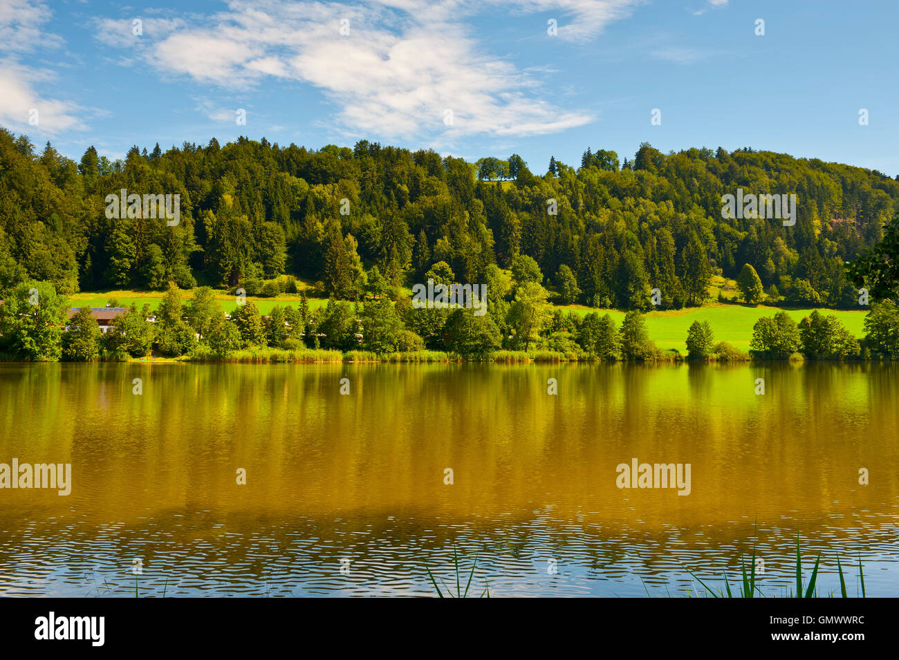 Shore of Lake Stock Photo - Alamy