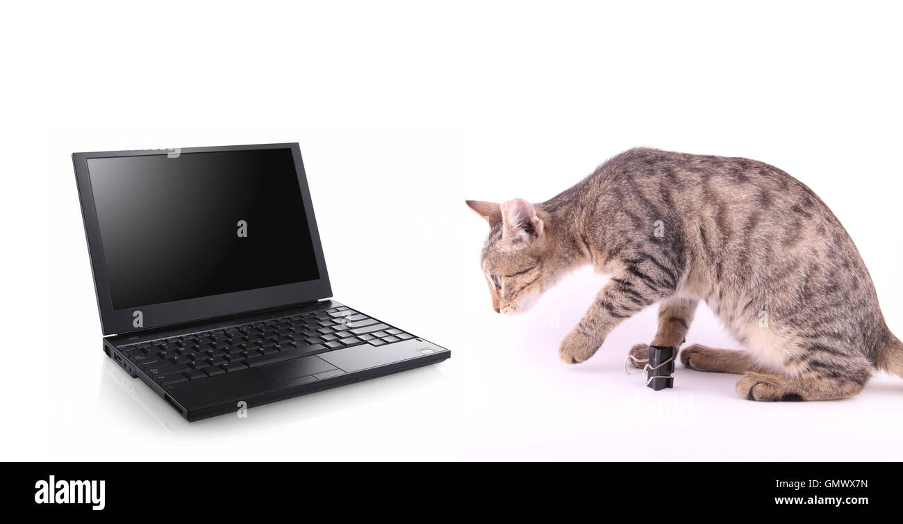 Laptop close Cut Out Stock Images & Pictures - Alamy