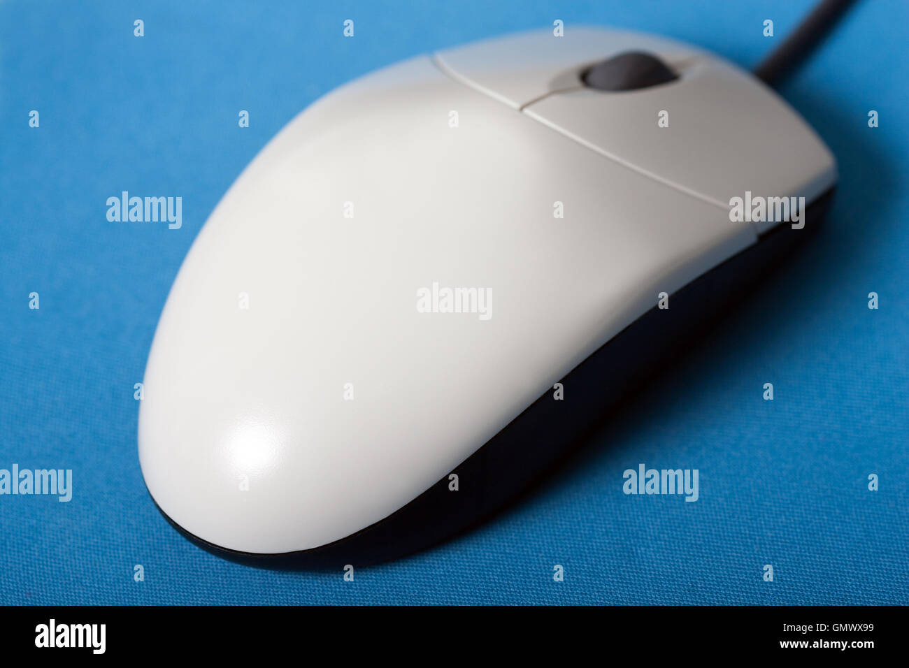 White mouse close up hi-res stock photography and images - Alamy