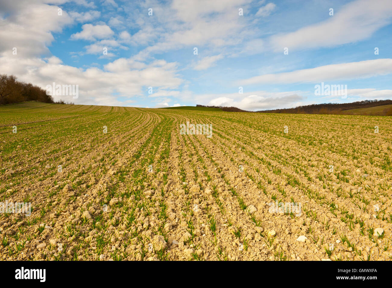 Earth grass lump hi-res stock photography and images - Alamy
