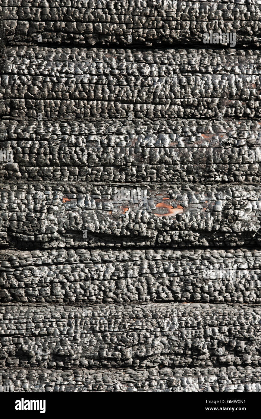 Fire burnt log Stock Photo - Alamy