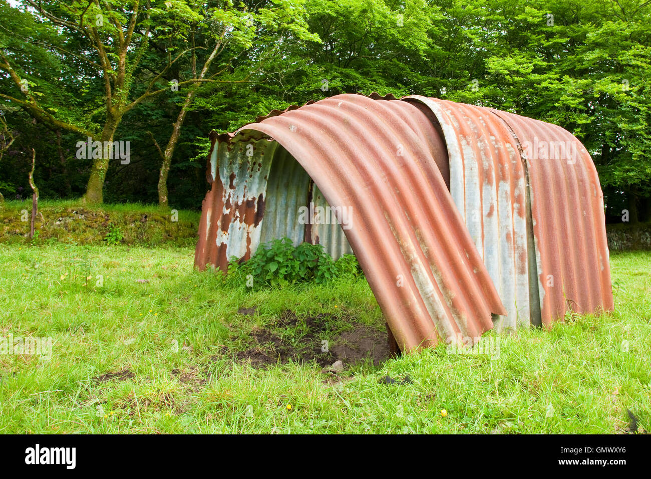 Pig hut hi-res stock photography and images - Alamy
