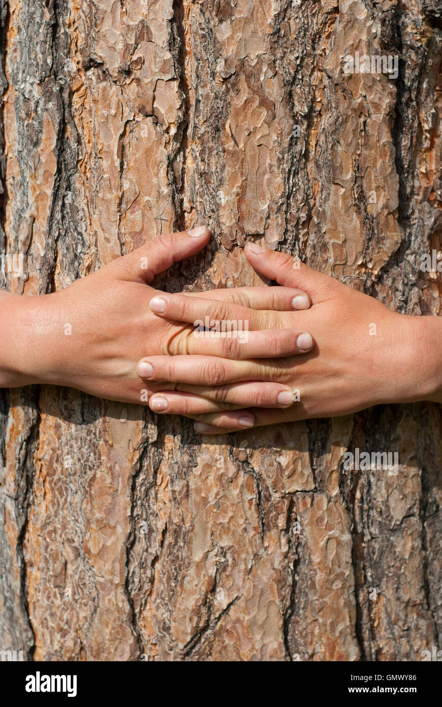 Wrapped Hands Around Tree High Resolution Stock Photography and Images ...