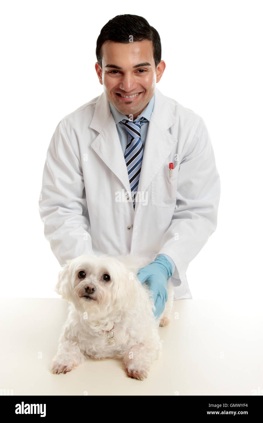 Confident vet with pet dog Stock Photo - Alamy