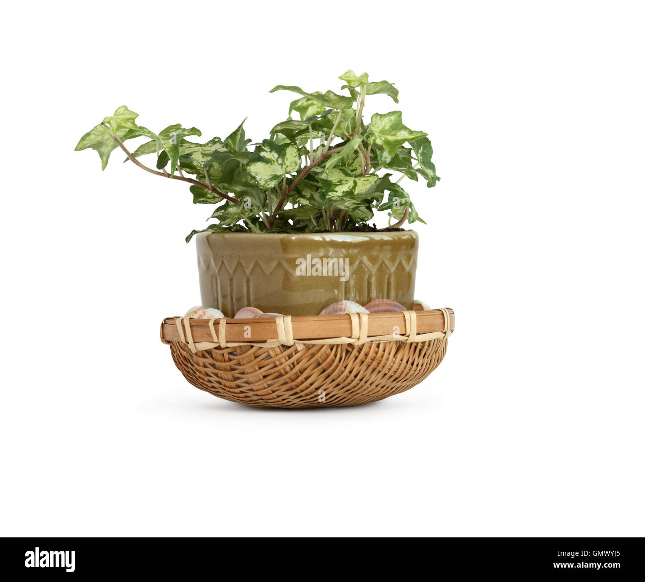 Plant window Cut Out Stock Images & Pictures - Alamy