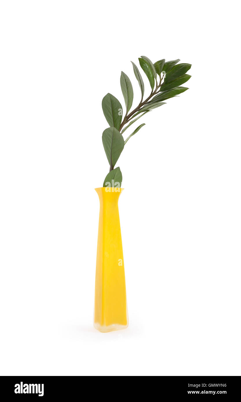 Single flower branch hi-res stock photography and images - Alamy