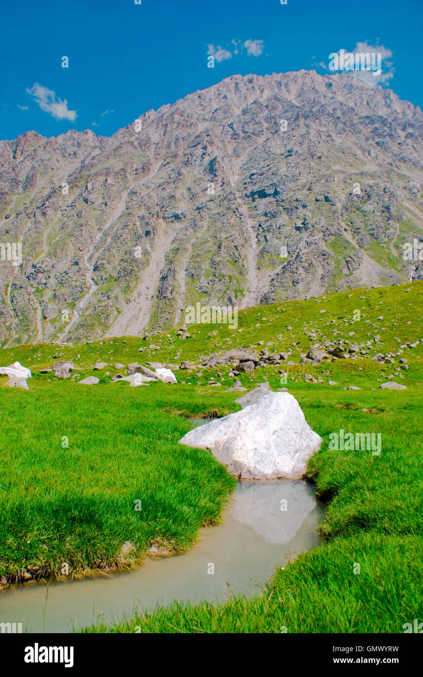 River and green field Stock Photo - Alamy