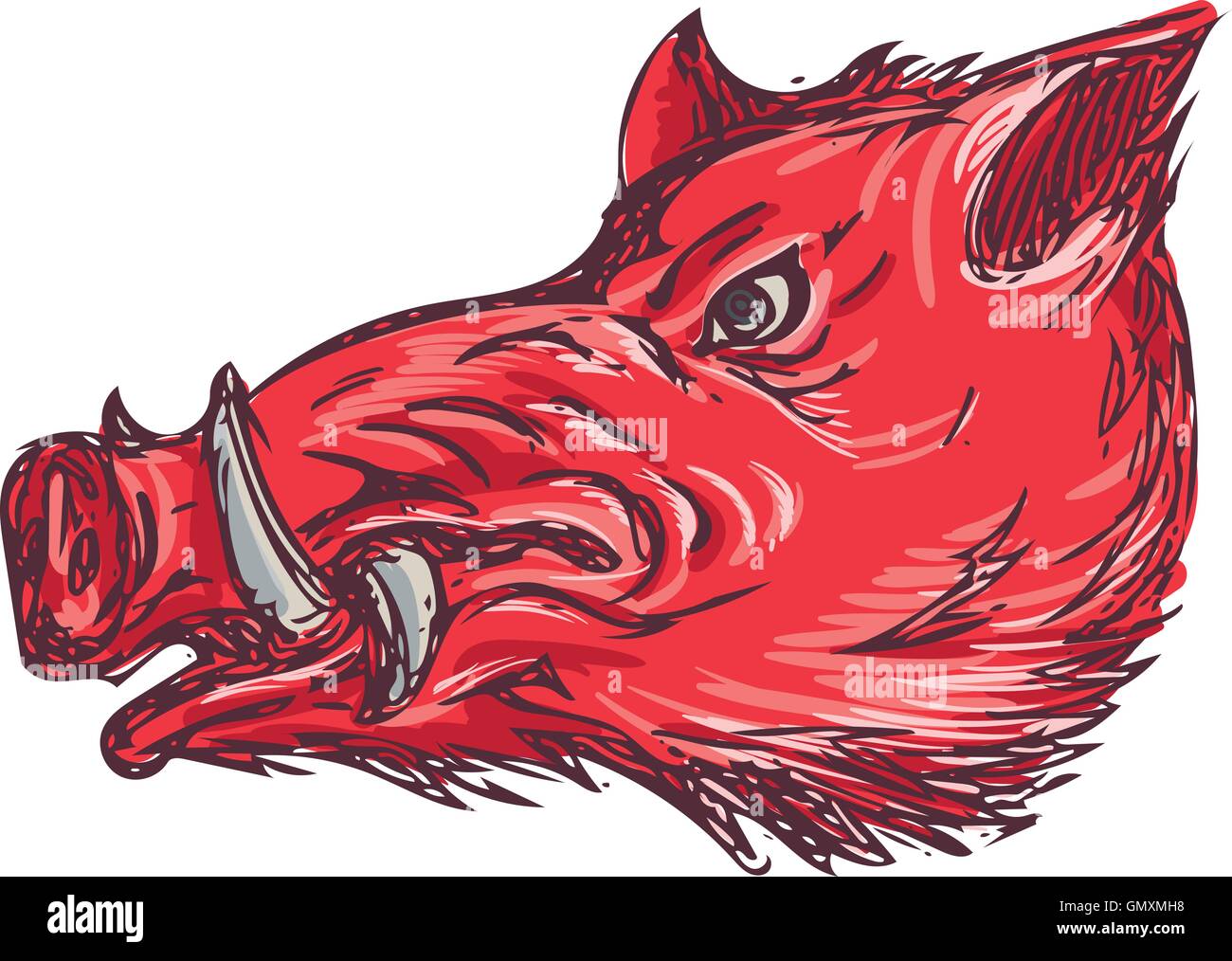 Wild Boar Razorback Head Side Drawing Stock Vector Image & Art - Alamy