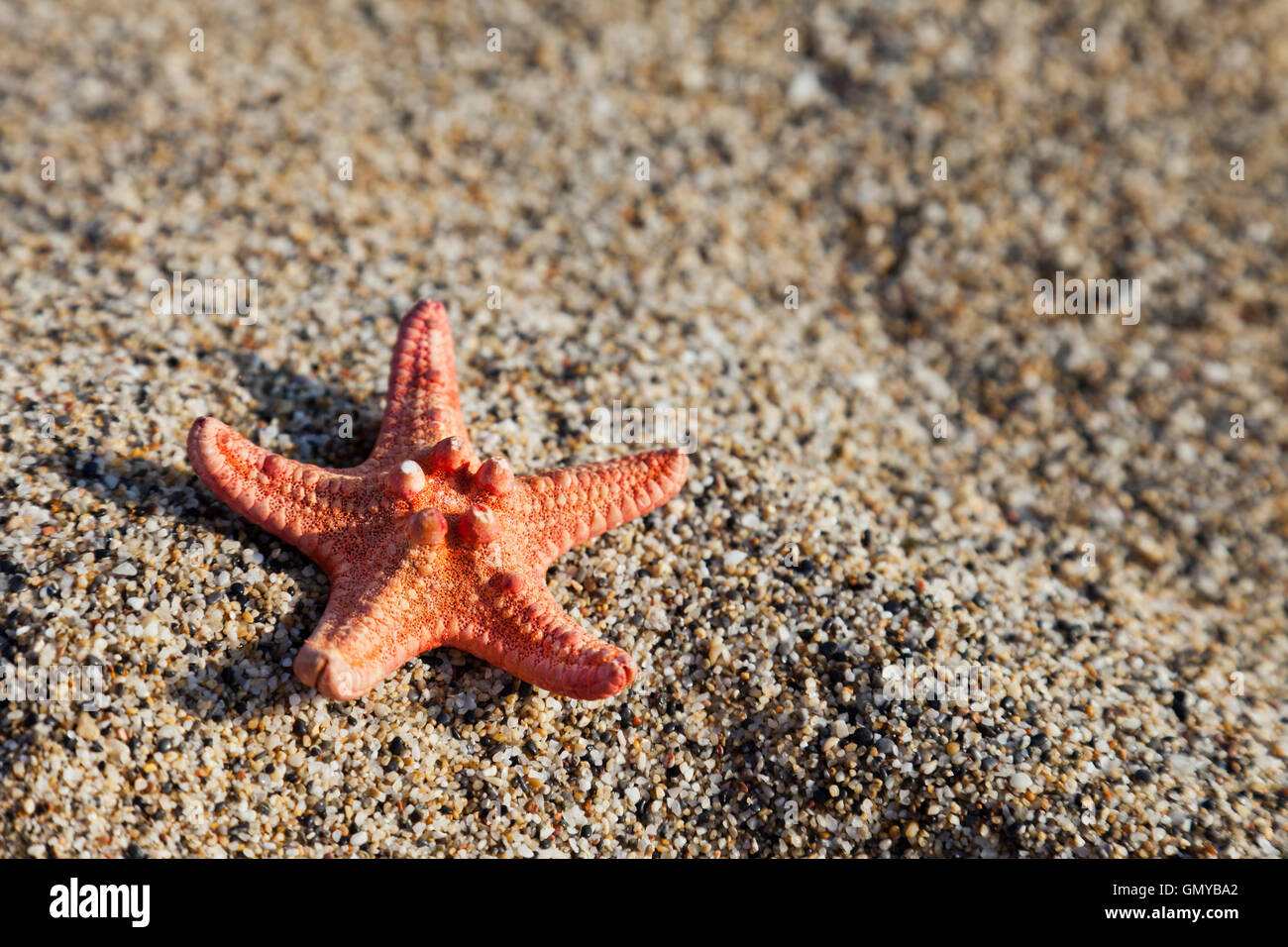 Star shape island hi-res stock photography and images - Alamy