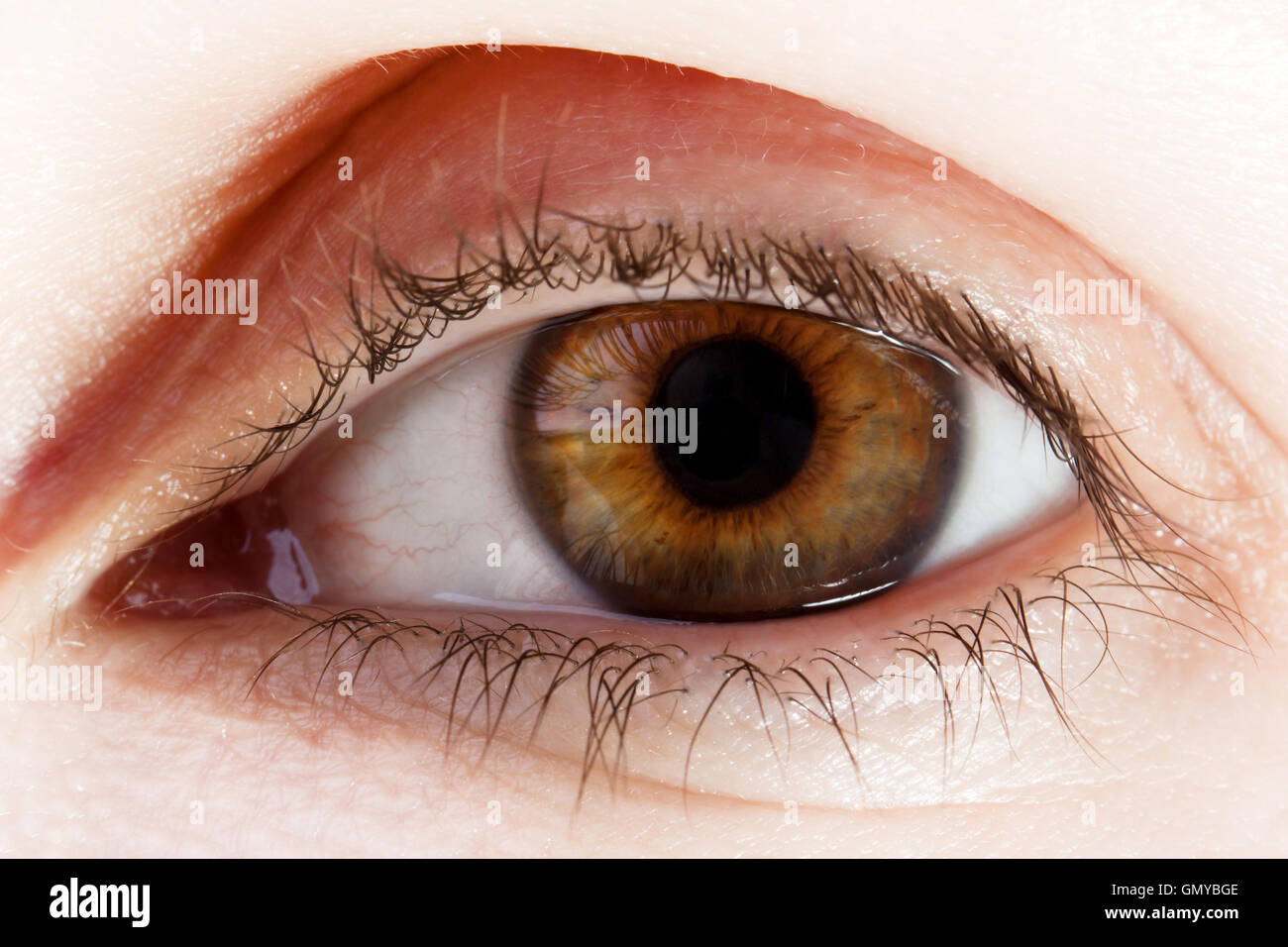 Human macro hi-res stock photography and images - Alamy