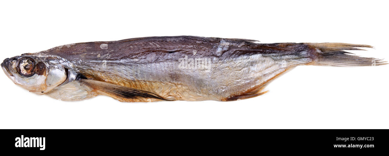 Stockfish hi-res stock photography and images - Alamy