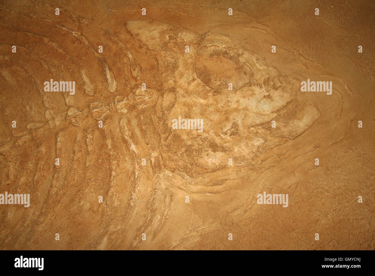 Dinosaur stamp hi-res stock photography and images - Alamy