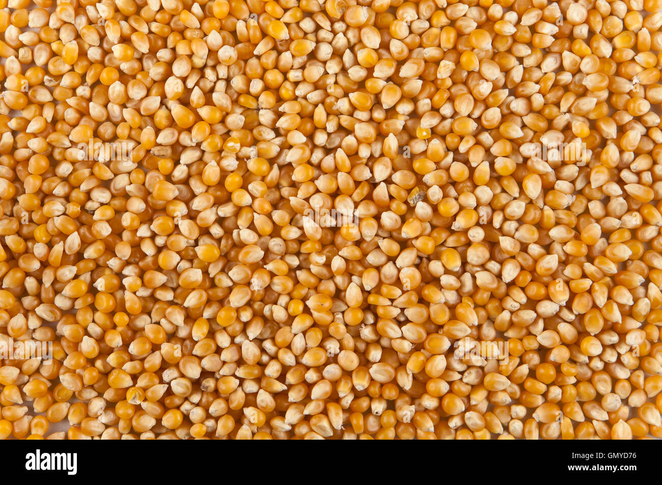 Abstract detail corn hi-res stock photography and images - Alamy