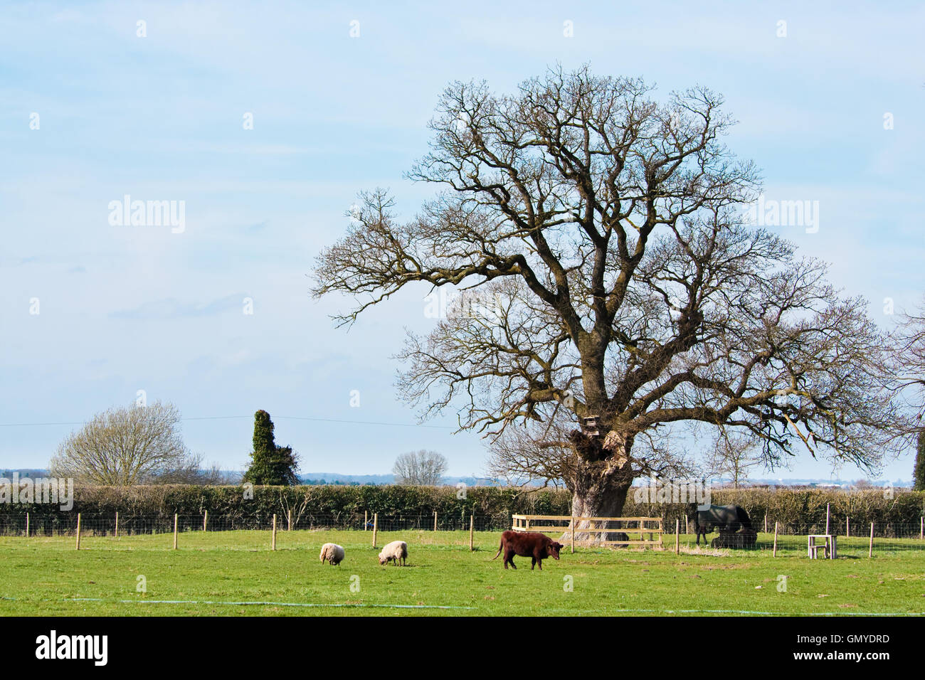 Farm in Suffolk Stock Photo - Alamy