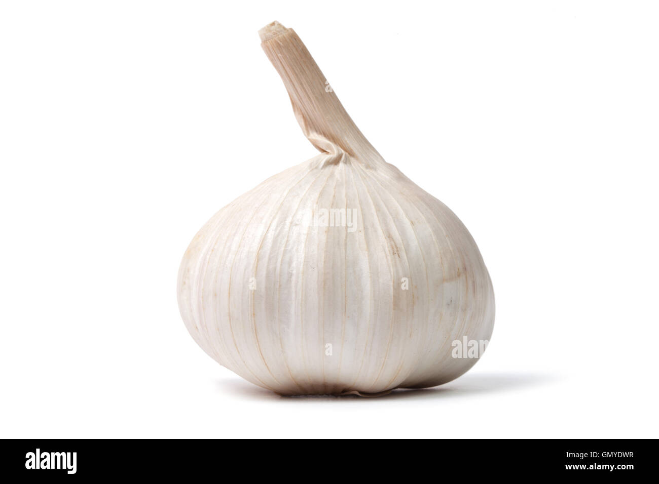 Single garlic bulb on white background Stock Photo - Alamy