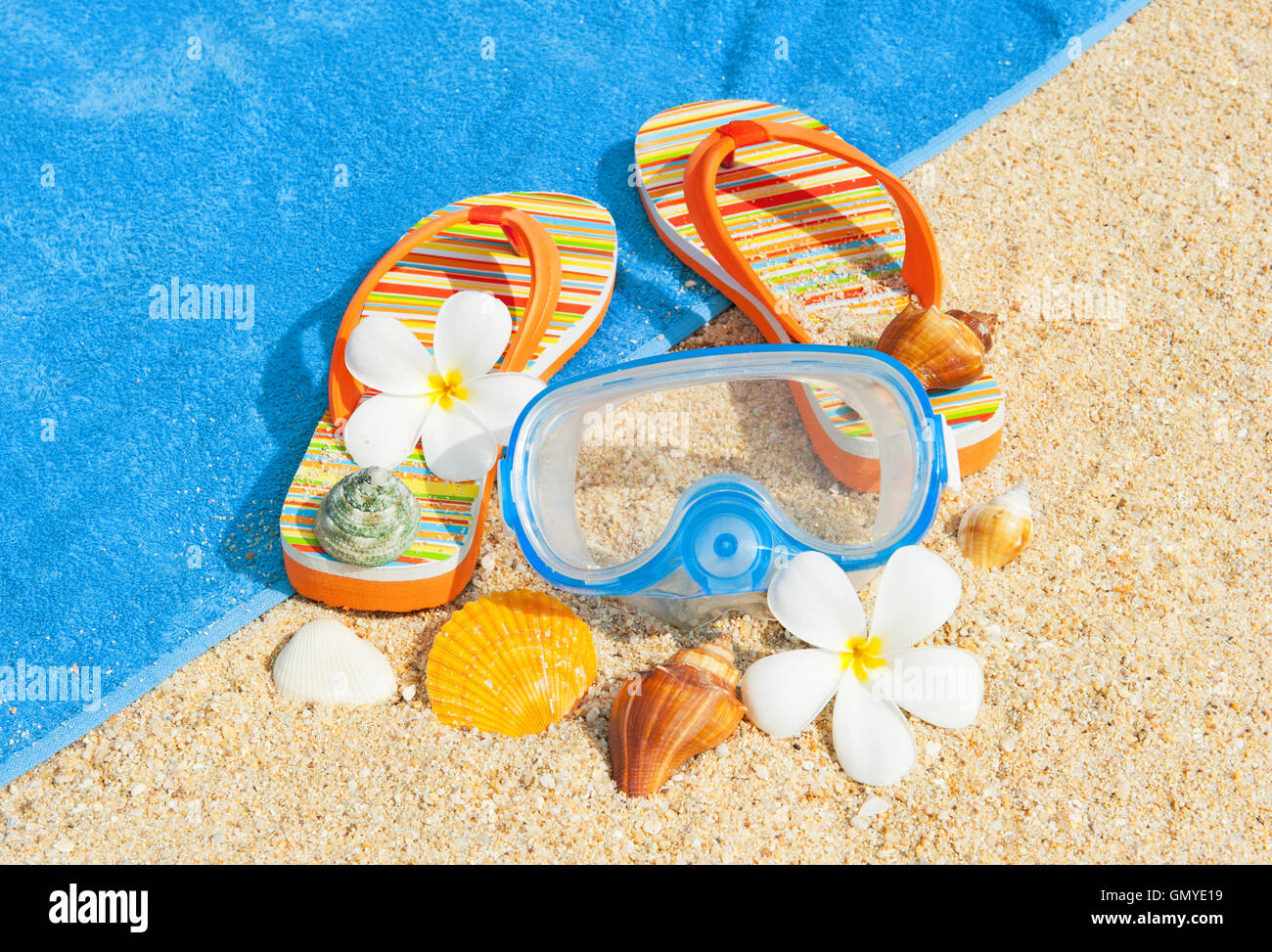 Seashells and diving mask on the ocean beach Stock Photo - Alamy