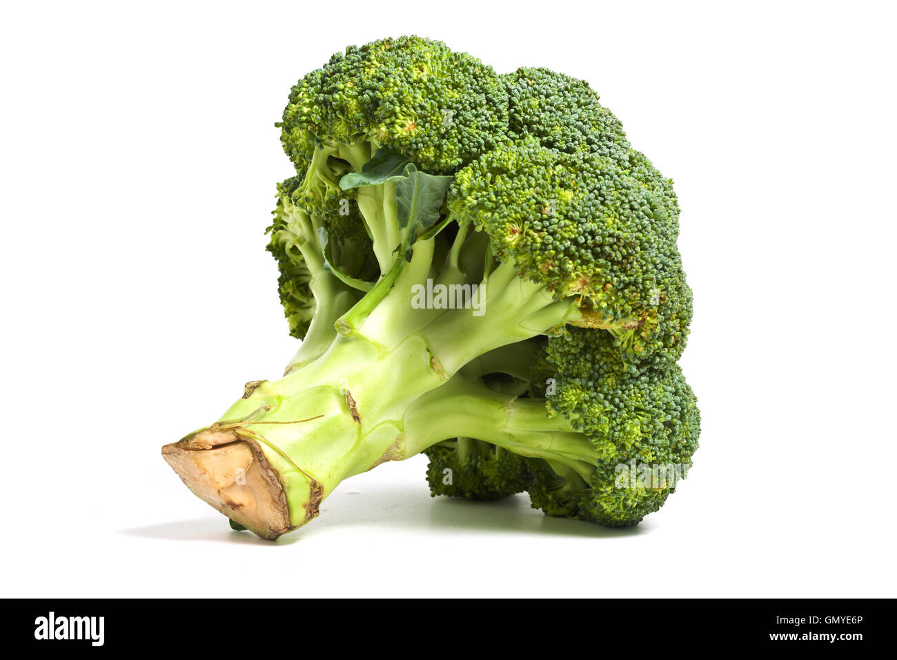 Single broccoli cabbage Stock Photo - Alamy