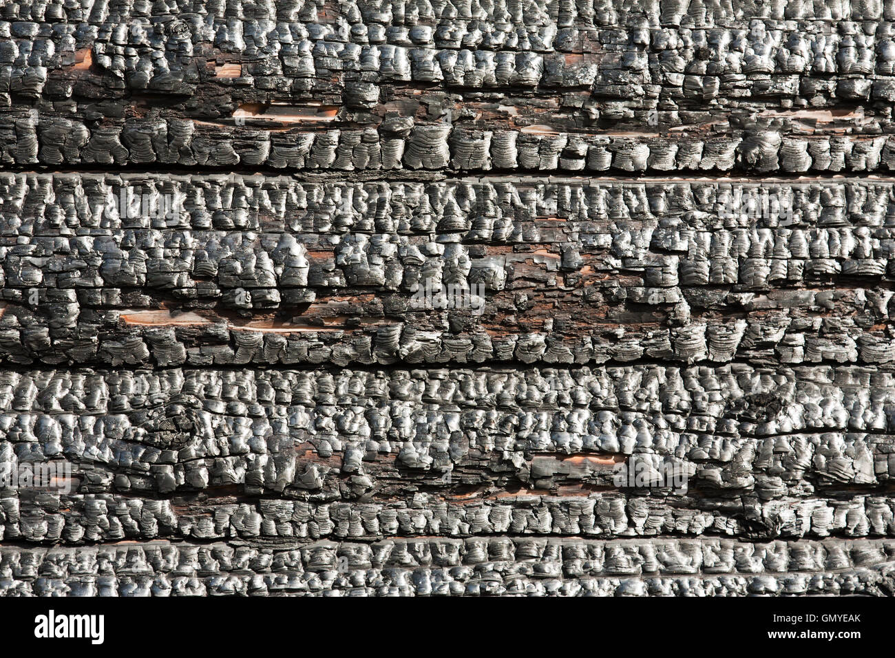 Fire burnt log Stock Photo - Alamy