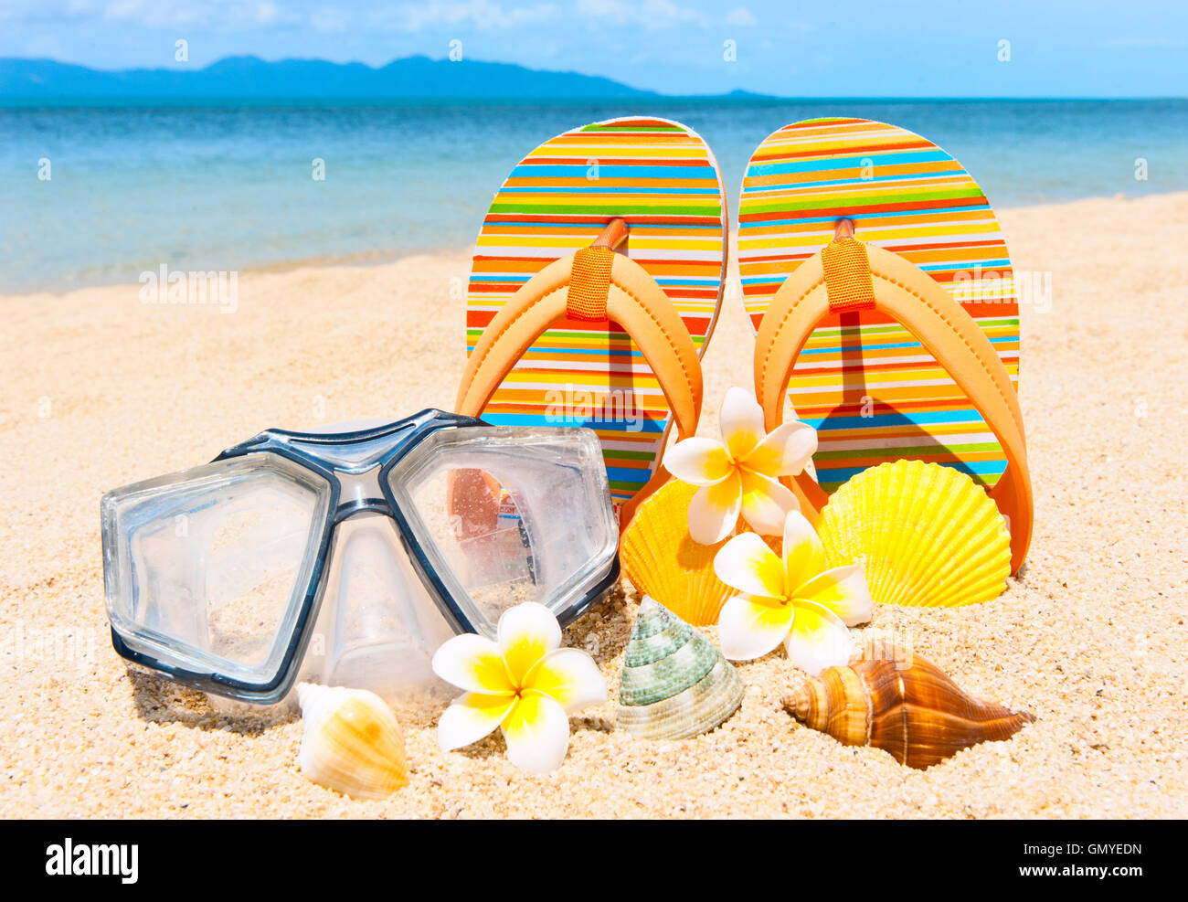Pail of seashells hi-res stock photography and images - Alamy