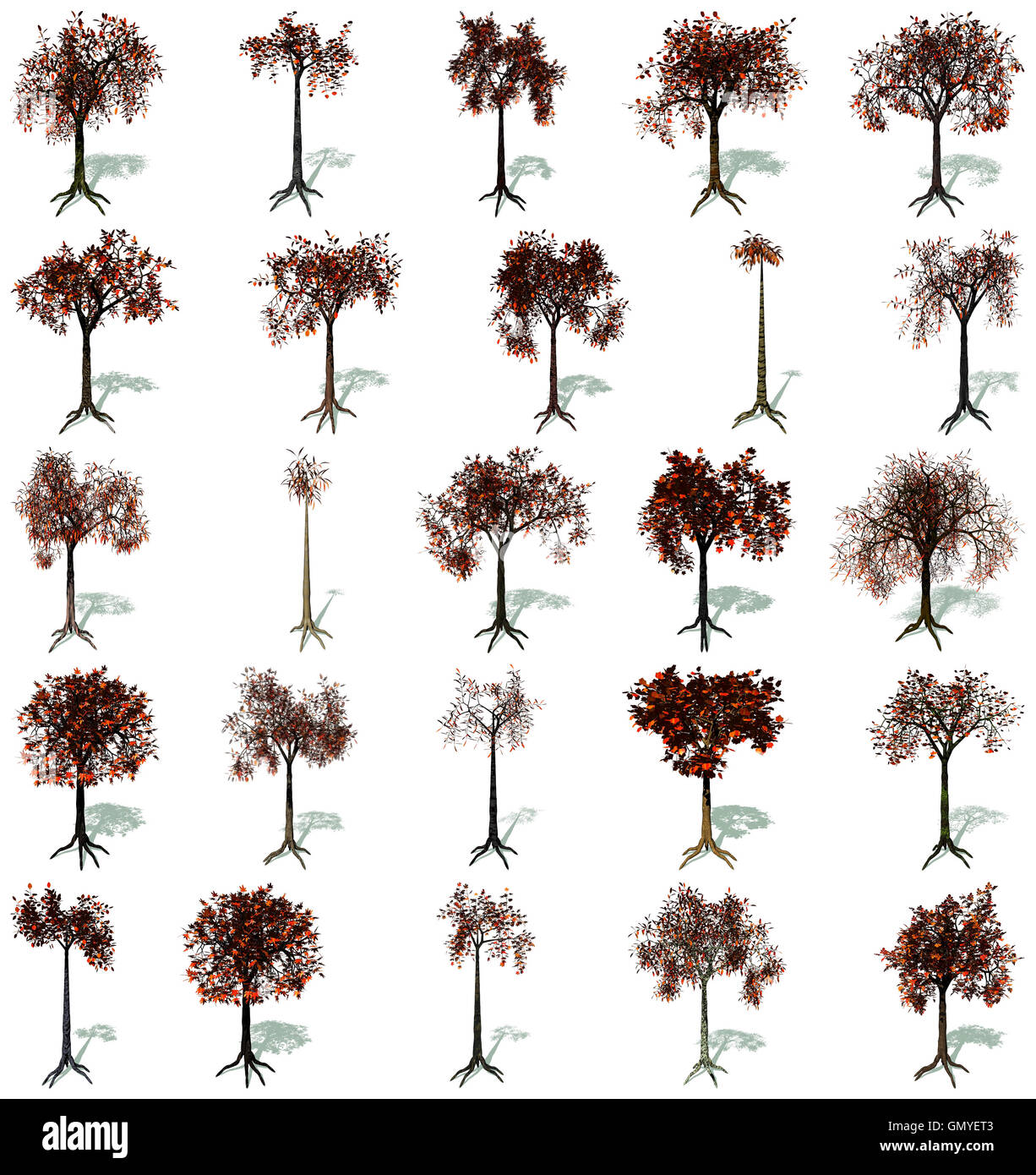 Autumn trees set Stock Photo - Alamy