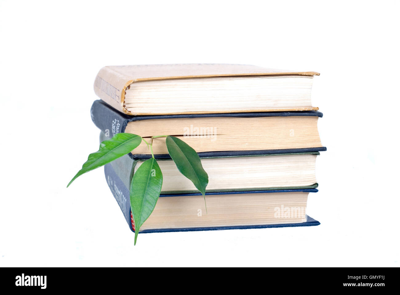 Book green tree on Cut Out Stock Images & Pictures - Alamy