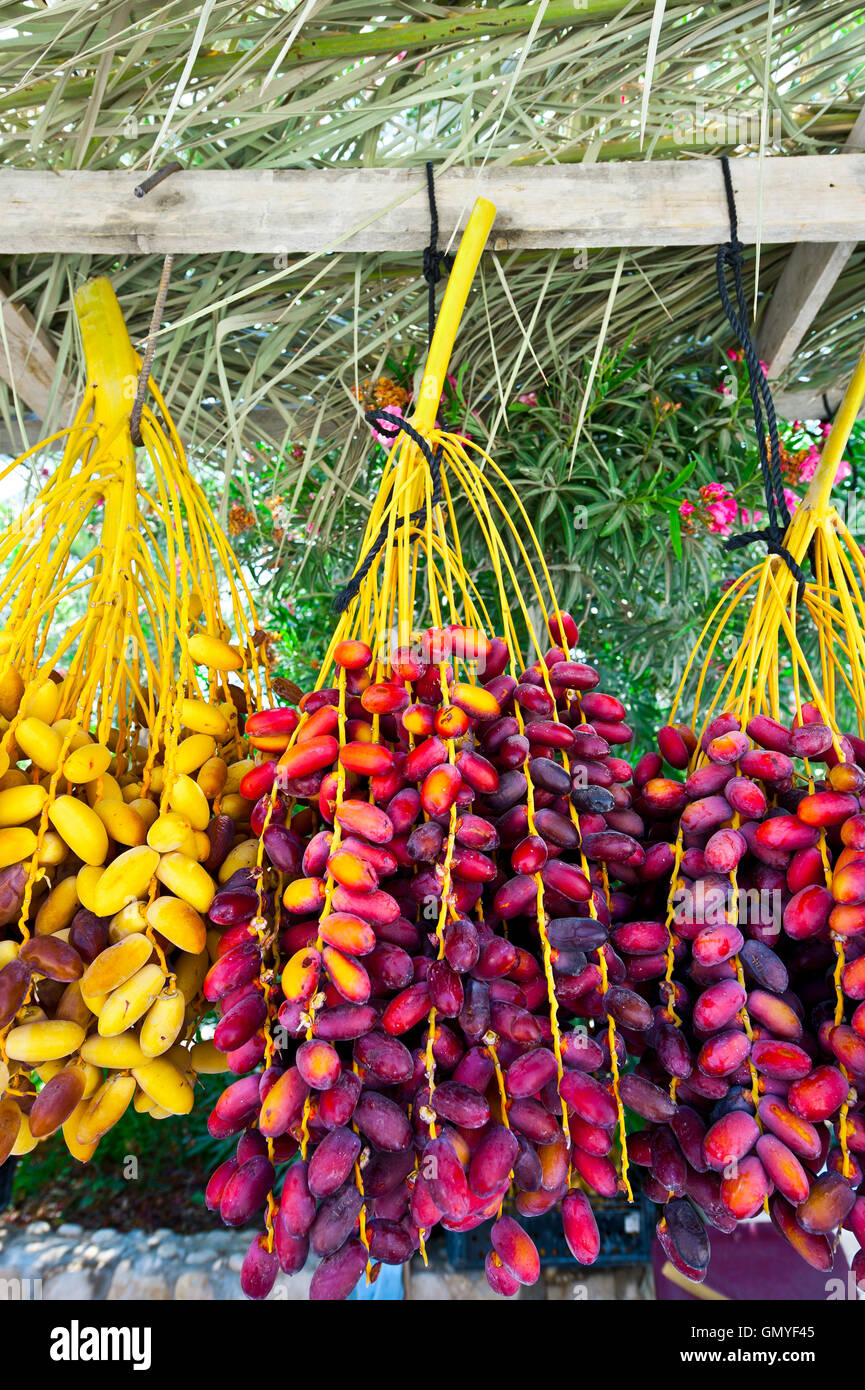 Red color fresh dates hi-res stock photography and images - Alamy