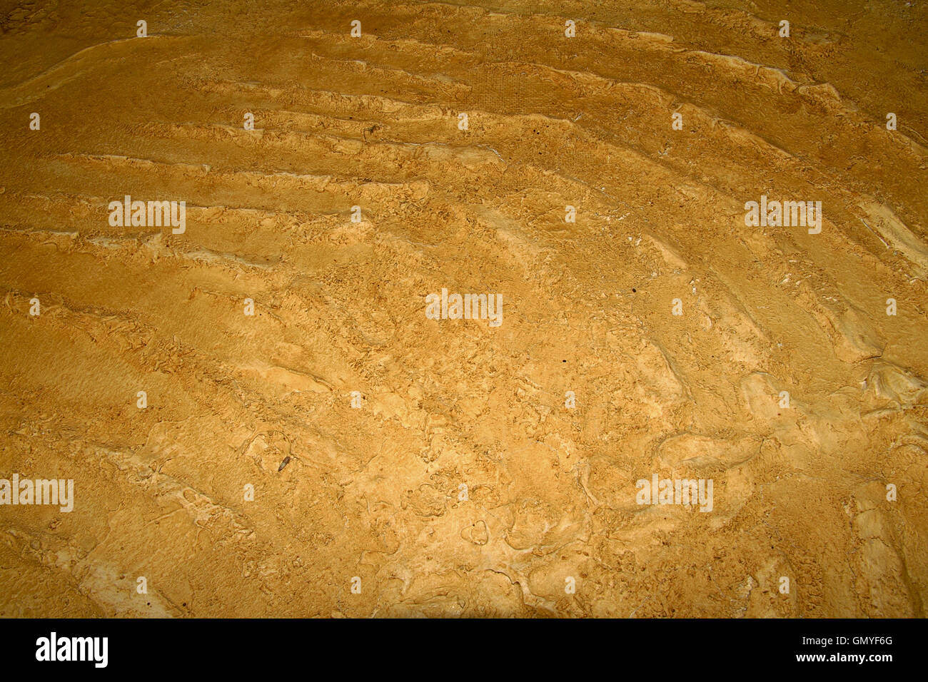 Wall of fossils hi-res stock photography and images - Alamy