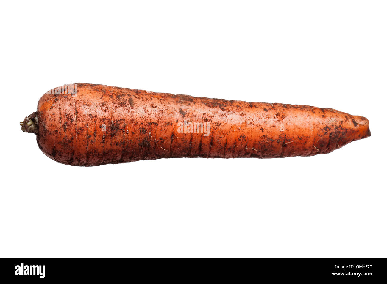 Bright orange carrot Cut Out Stock Images & Pictures - Alamy
