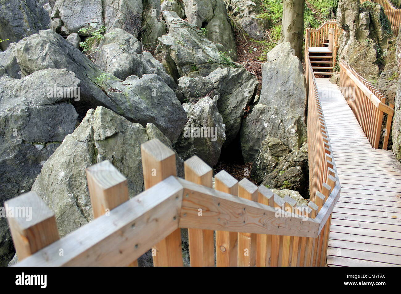 modern forest bridge Stock Photo - Alamy