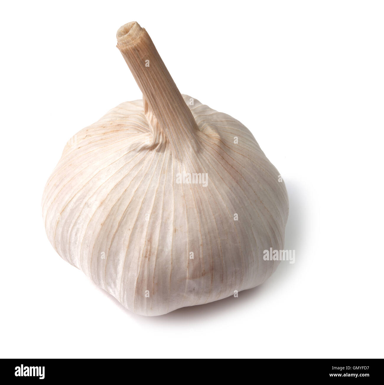 Single garlic bulb on white background Stock Photo - Alamy