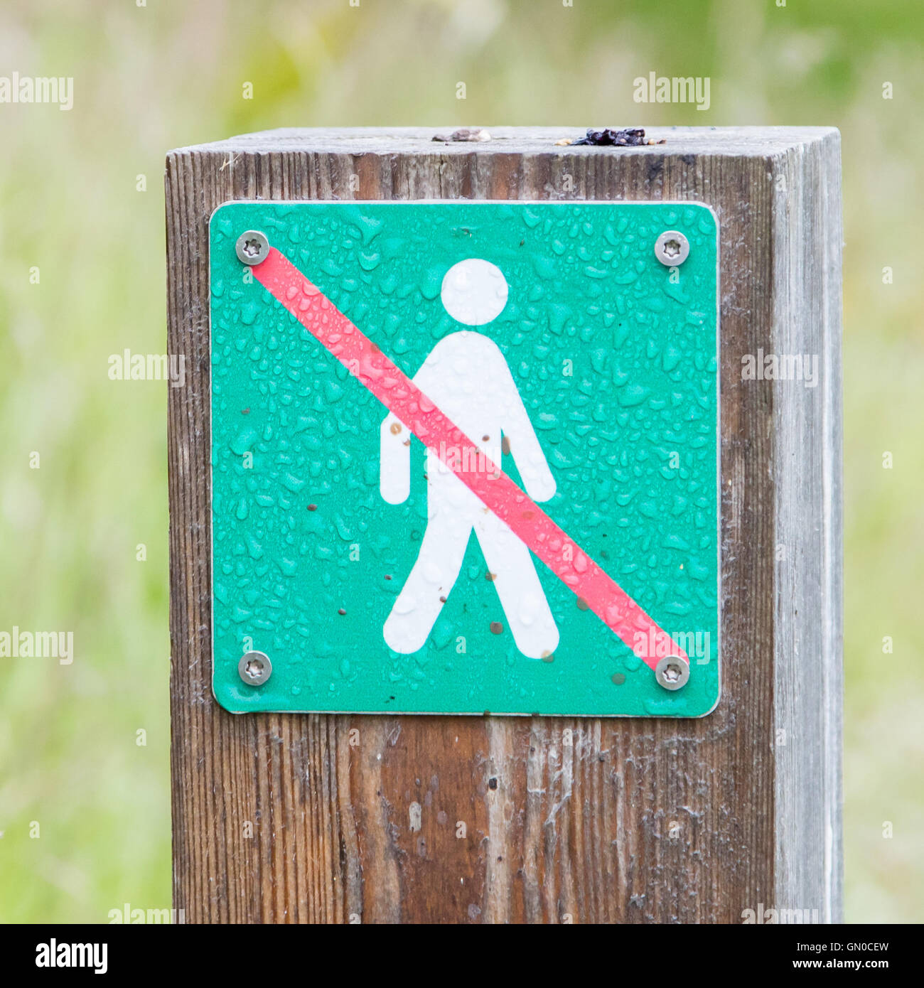 Forbidden to walk over here - Sign in Iceland Stock Photo - Alamy