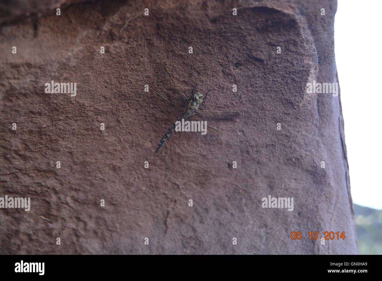 Amaru Meru, Gateway to Gods, Stargate, Puno, Peru Stock Photo - Alamy