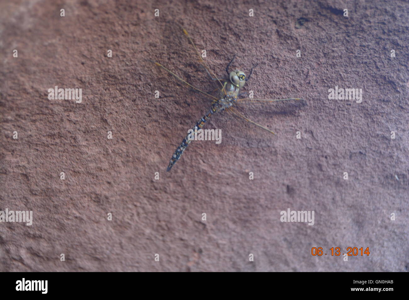 Amaru Meru, Gateway to Gods, Stargate, Puno, Peru Stock Photo - Alamy