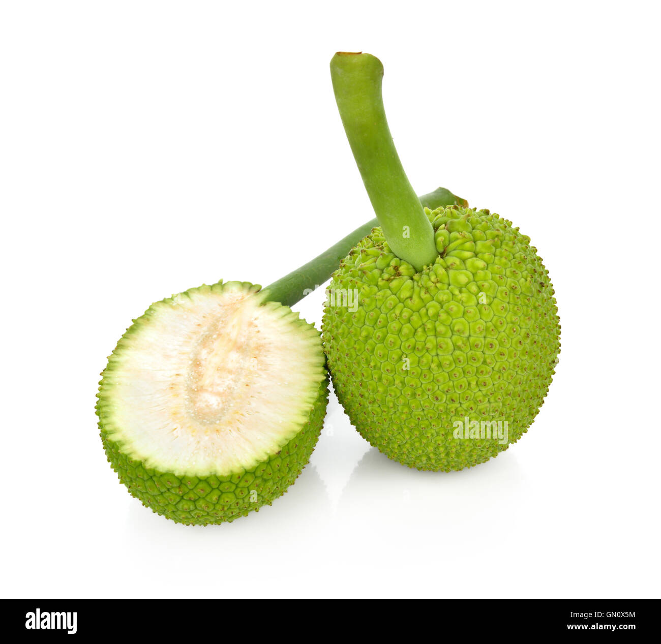 Breadfruit tree hi-res stock photography and images - Alamy