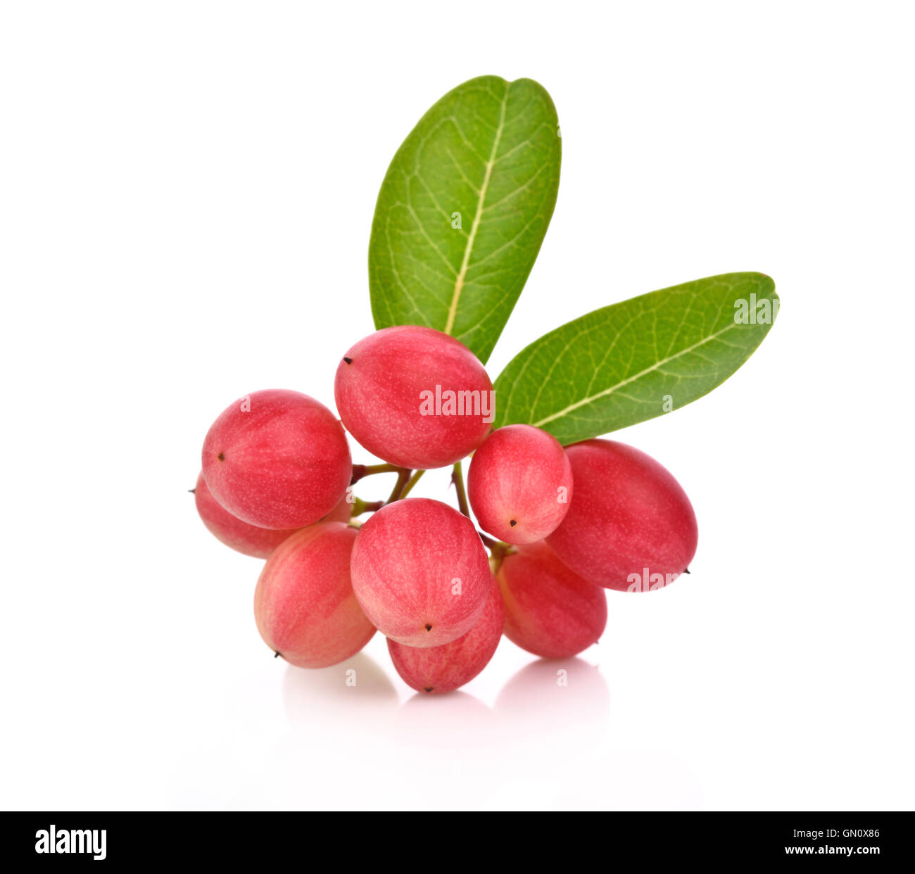 Karonda hi-res stock photography and images - Alamy