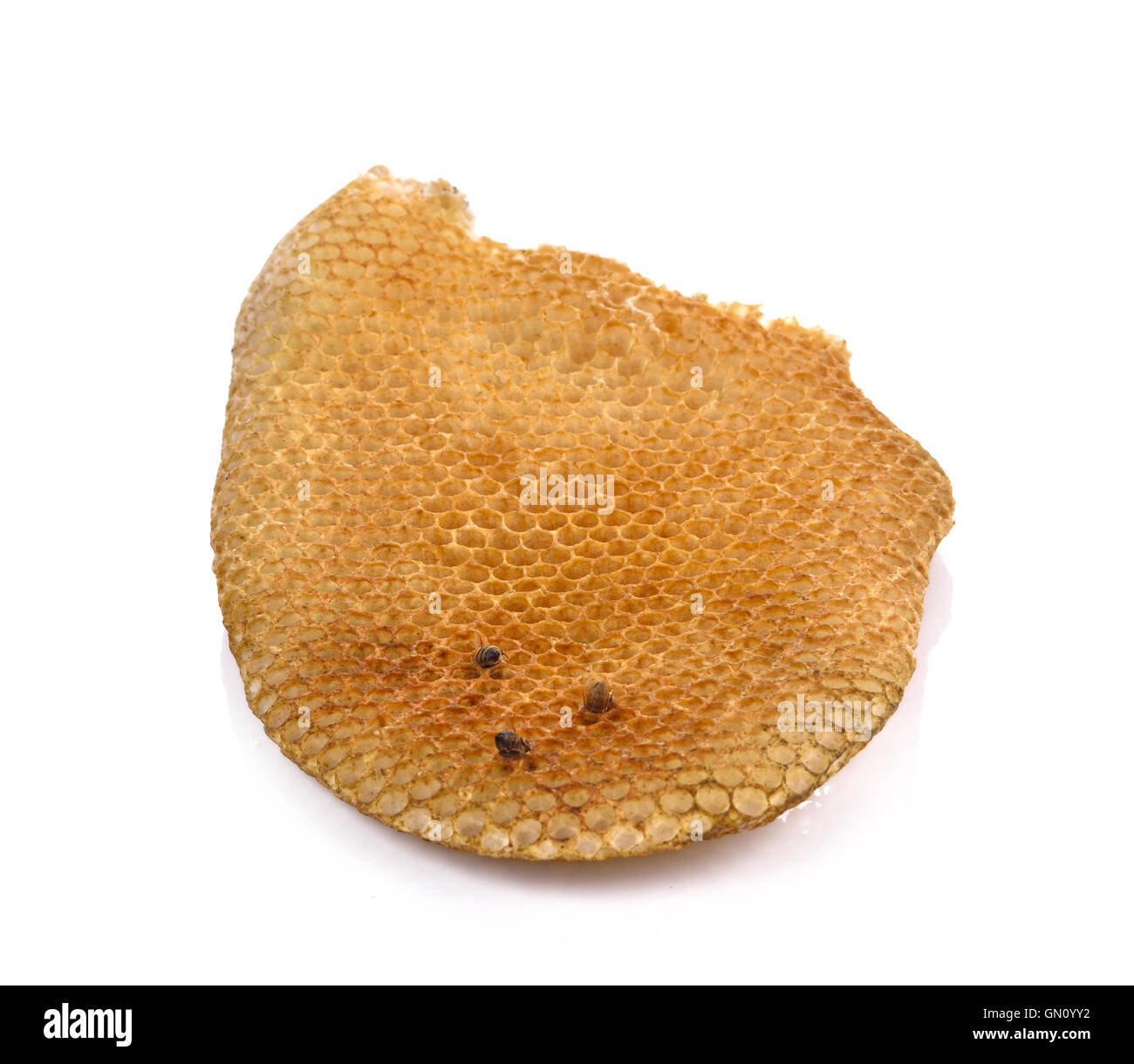 White honeycomb texture Cut Out Stock Images & Pictures - Alamy