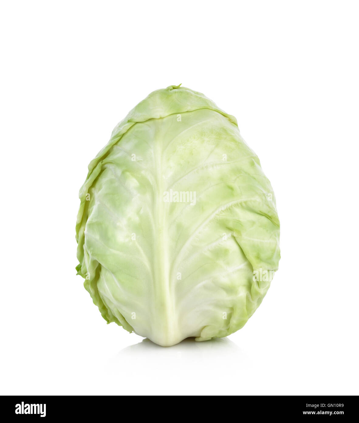Pointed Cabbage on white background Stock Photo - Alamy