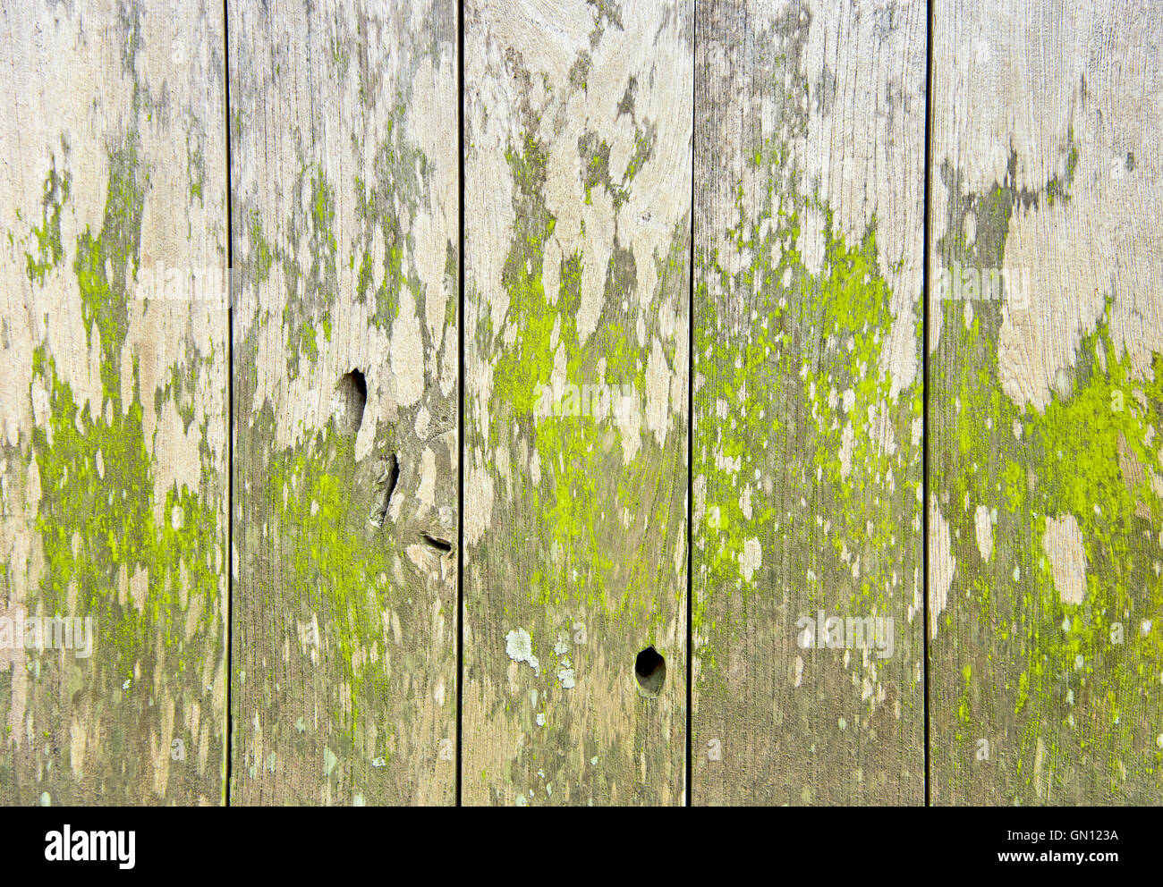 Old wood texture wood with moss hi-res stock photography and images - Alamy