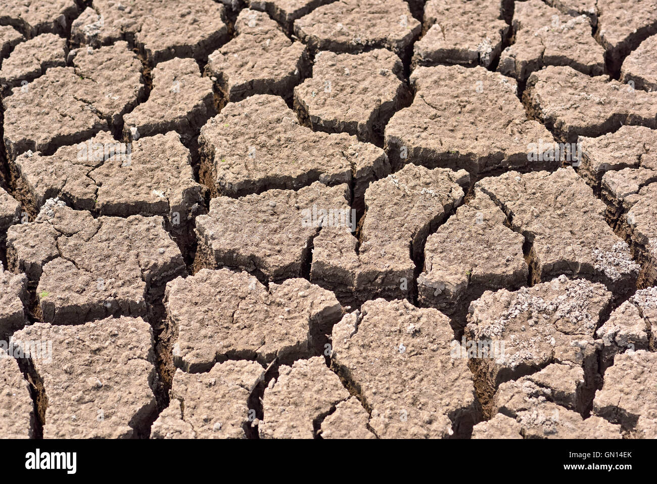 Cracked and barren ground Stock Photo - Alamy