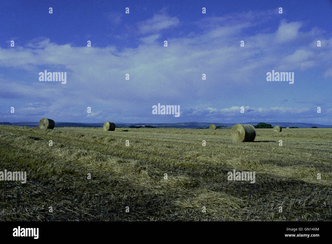 Farmers with harvested hay hi-res stock photography and images - Alamy